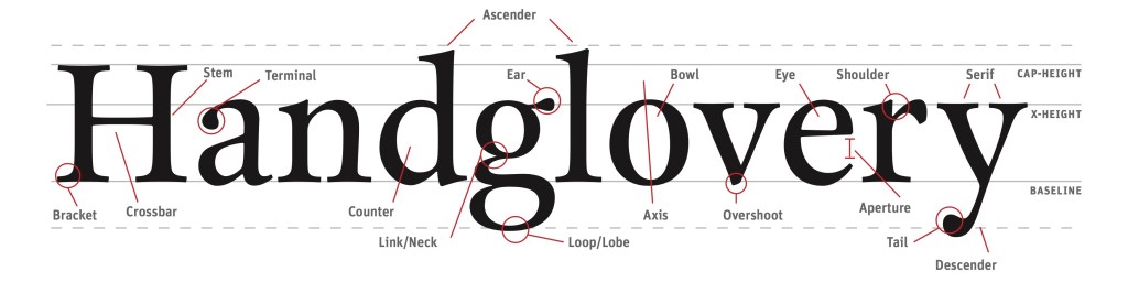 Typeface Anatomy – Shamasis Bhattacharya